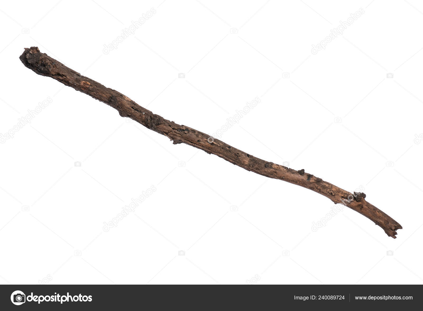 Tree Stick