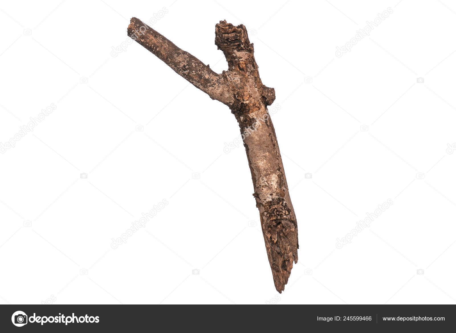 Single Dry Tree Branch Isolated White Background Stick Tree Branch ... Single Dry Tree Branch Isolated White Background Stick Tree Branch ...