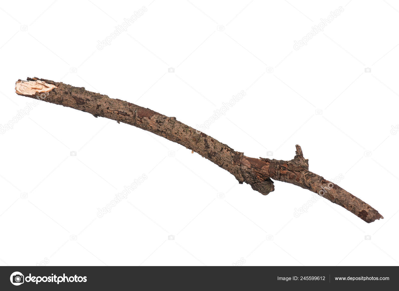 Wooden Branch Stick