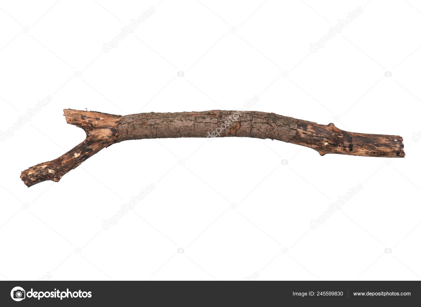 Tree Branch Stick