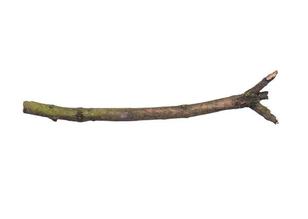 Wooden Branch Stick