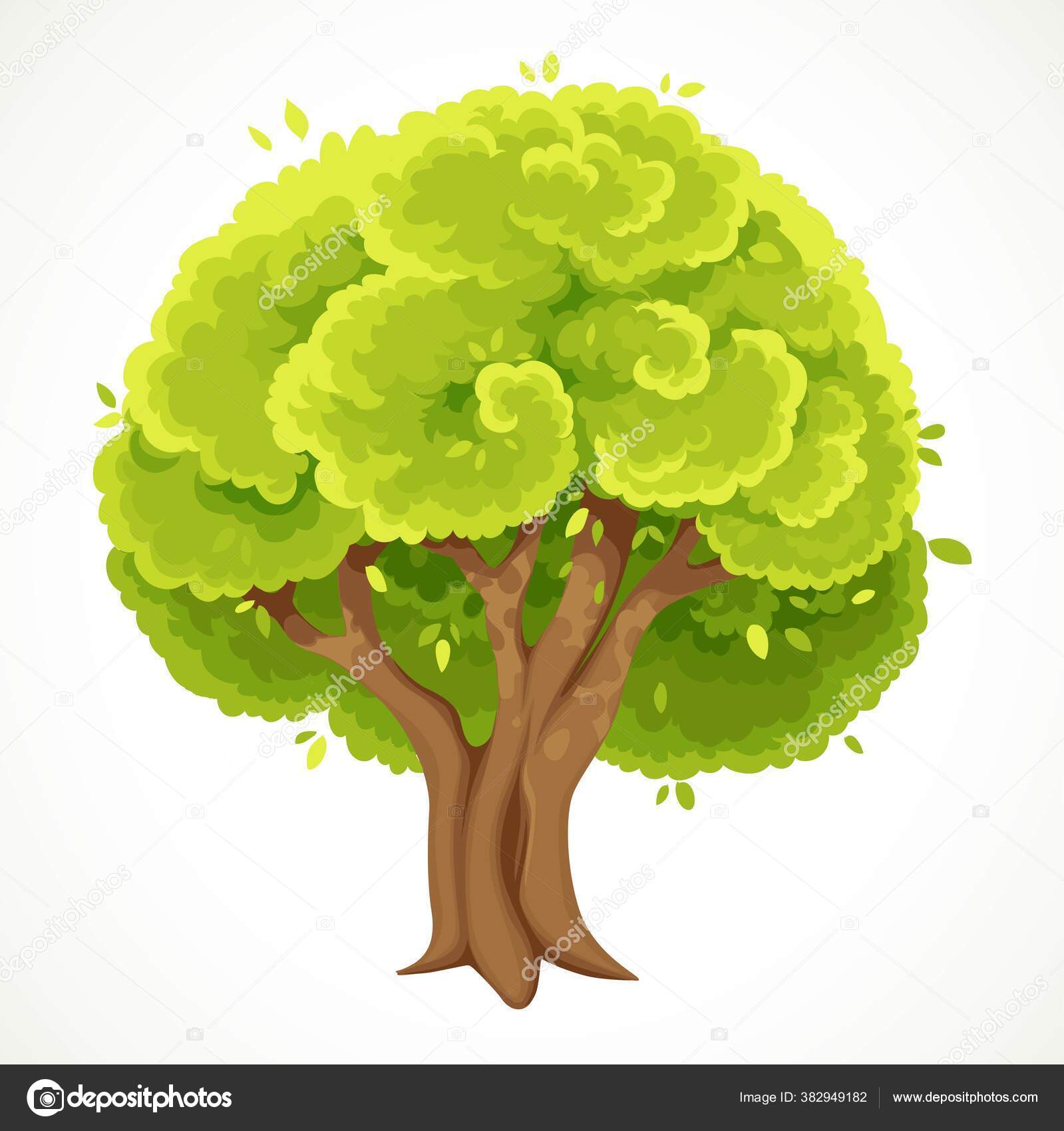 Summer Tree Lush Green Foliage Vector Drawing Isolated White Background ...