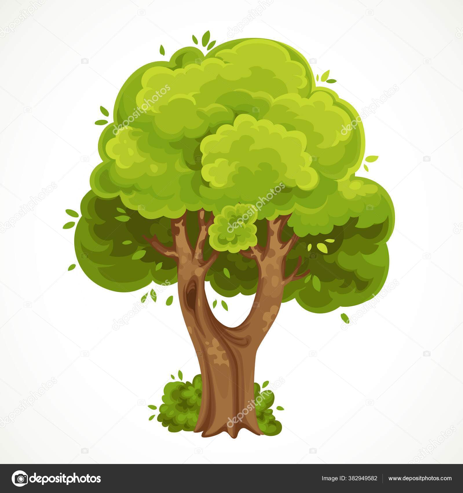 Big Old Tree Drawing