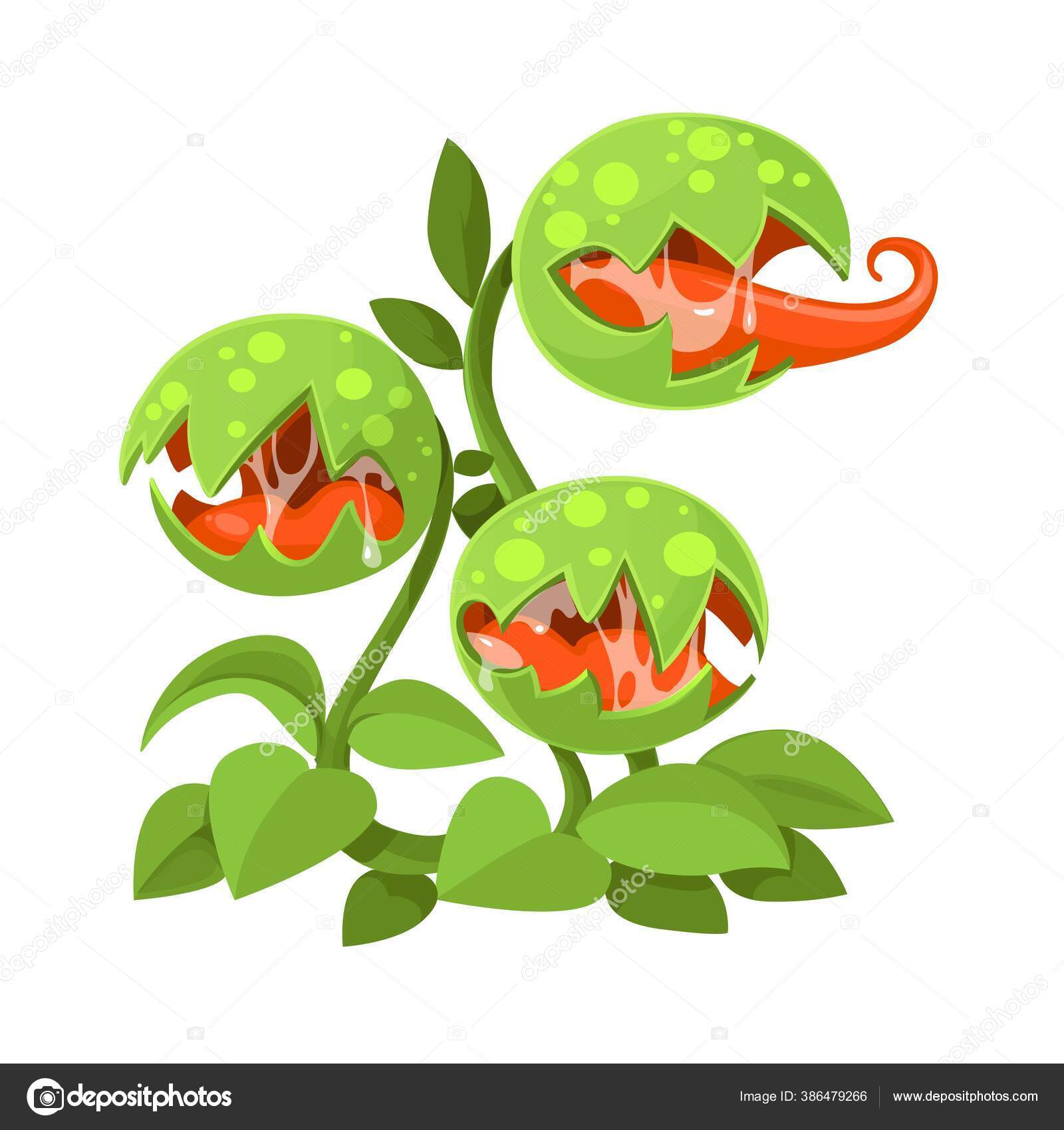 Venus Fly Trap Fruit