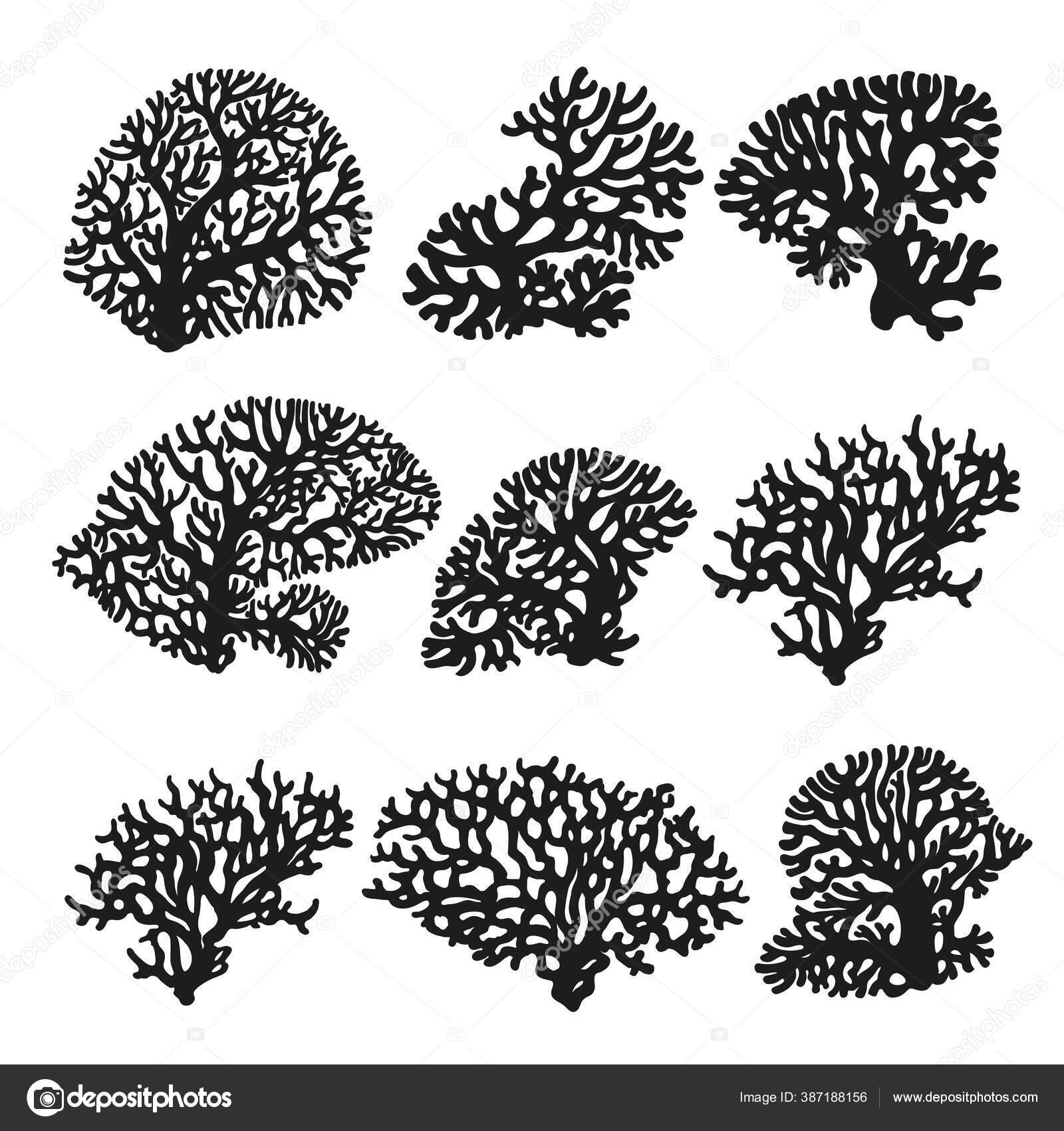 Sea Coral Silhouette