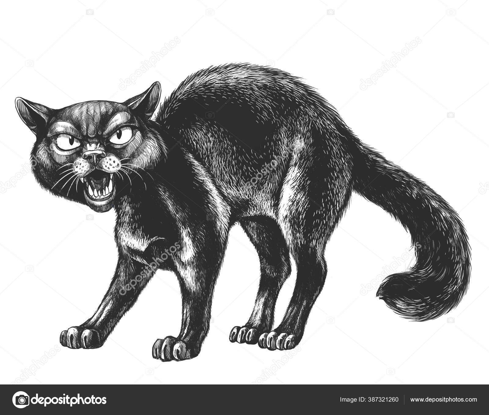 Aggressive Black Cat White Background Stock Illustration by ©yadviga ...