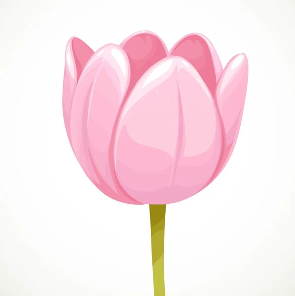 Red Tulip Blooming Flower Profile Isolated White Background Stock ...