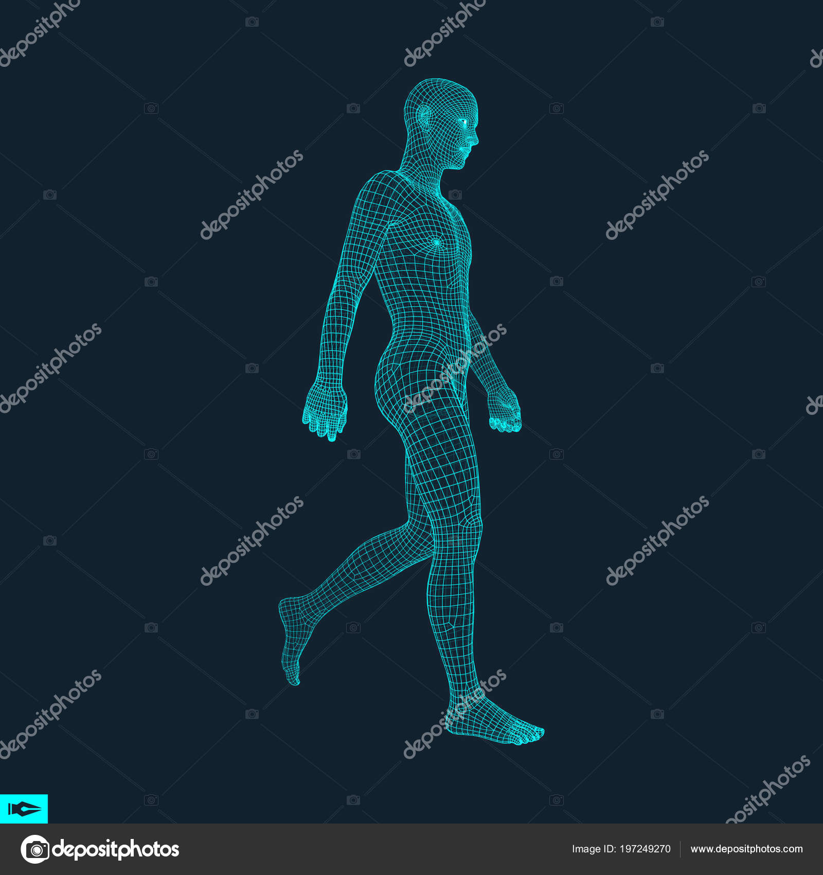 Walking Man Human Body Model Geometric Design Human Body Wire Stock ...