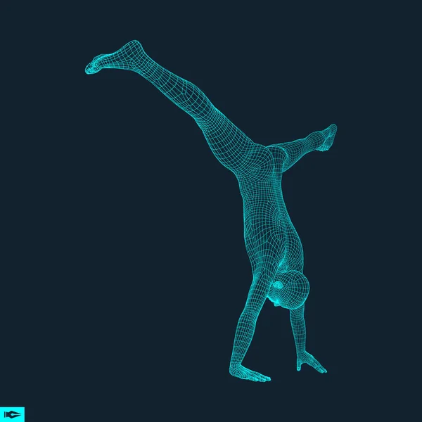 Gymnast. Man. 3D Model of Man. Human Body Model. Body Scanning. View of ...