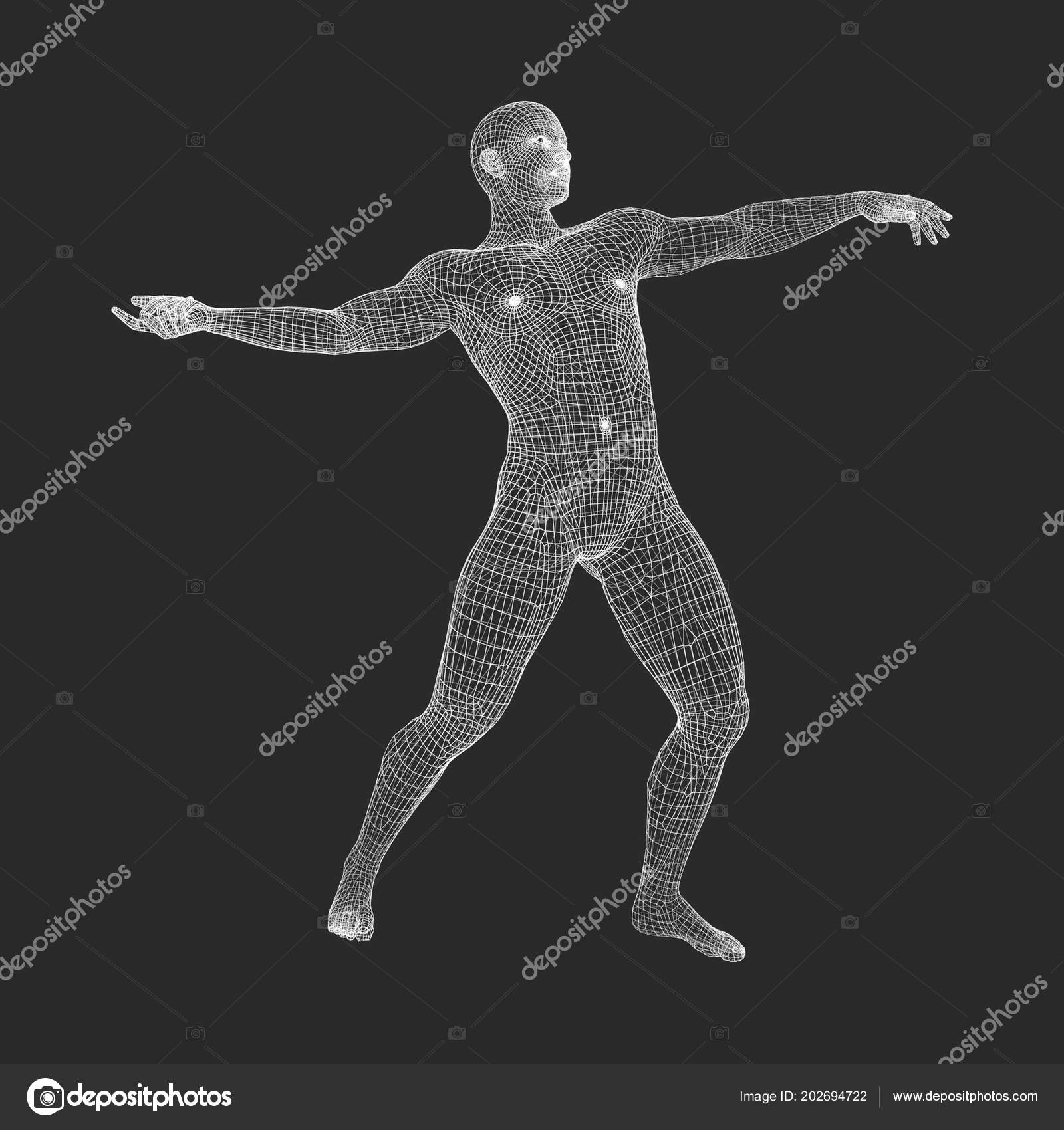 Model Man Human Body Wire Model Design Element Technology Vector Stock ...