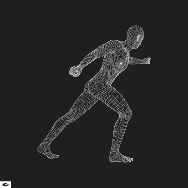 Fighter Model Man Human Body Sport Symbol Design Element Vector Stock ...