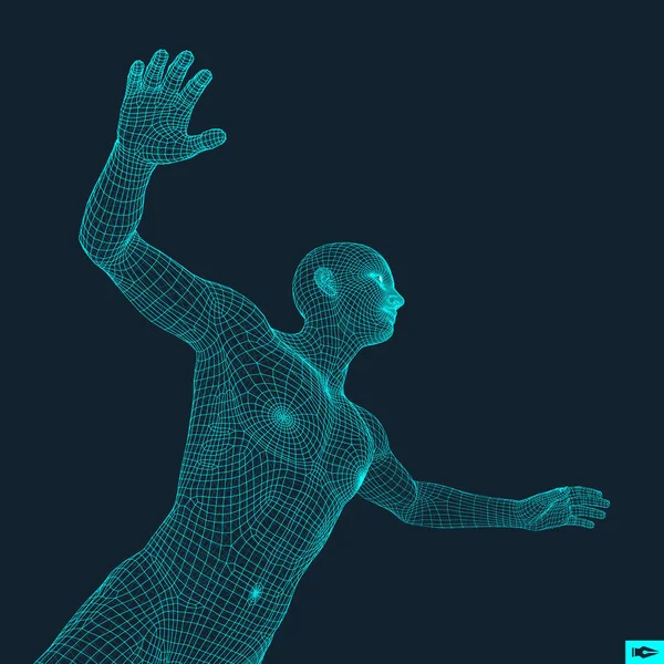 Model Man Human Body Wire Model Design Element Technology Vector Stock ...