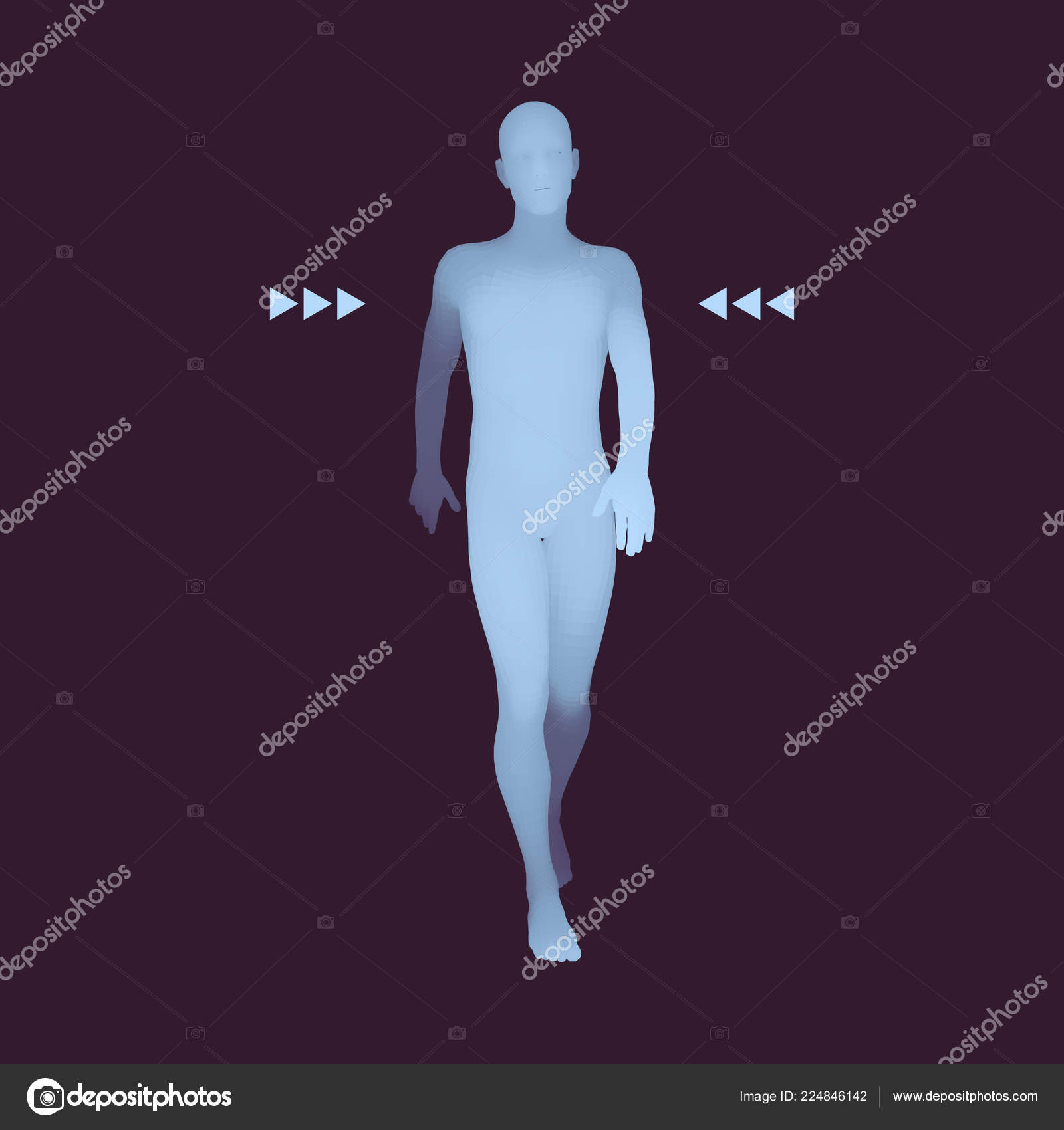 Walking Man Human Body Model Design Element Vector Illustration Stock ...
