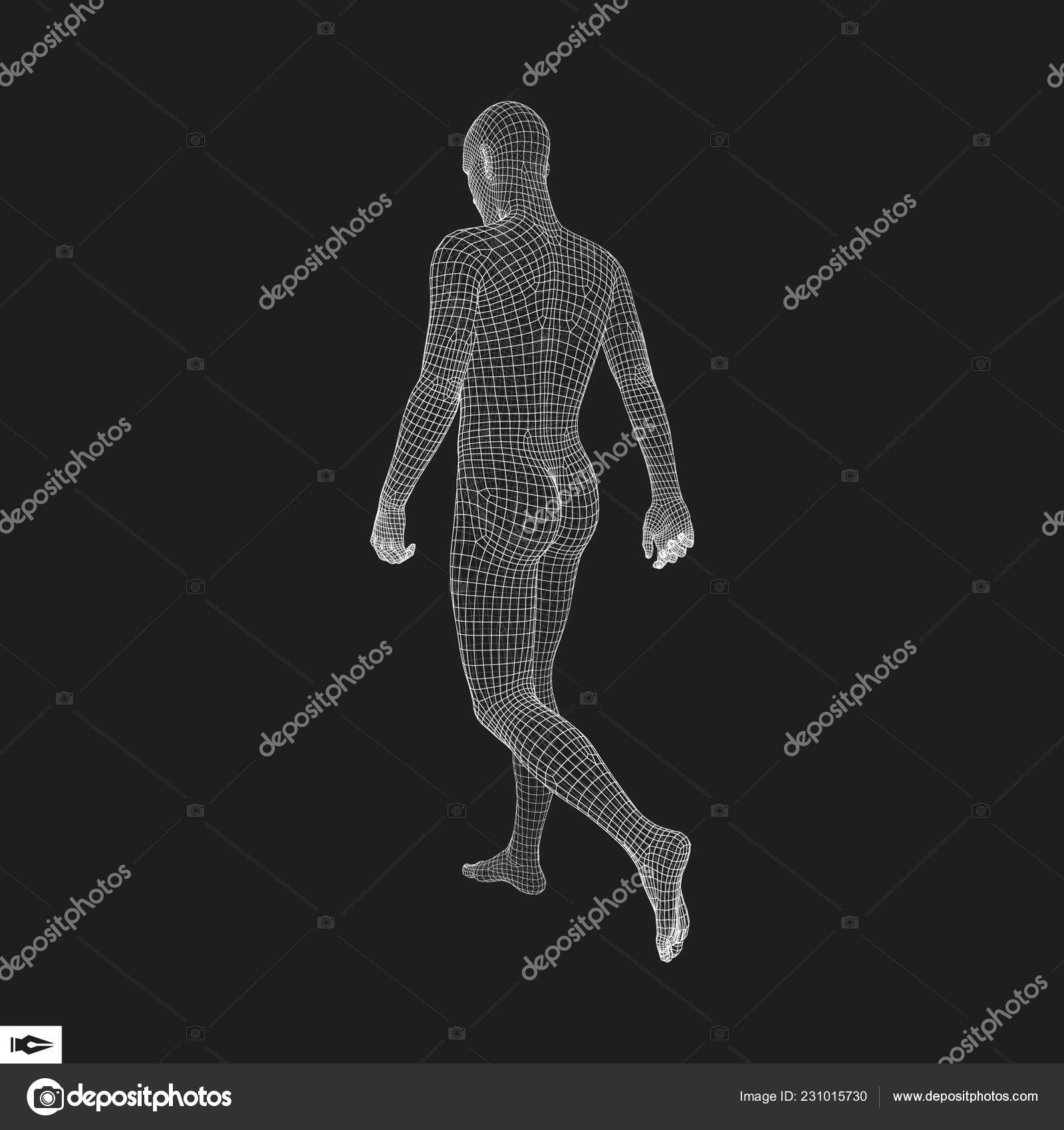 Walking Man Human Body Model Geometric Design Human Body Wire Stock ...