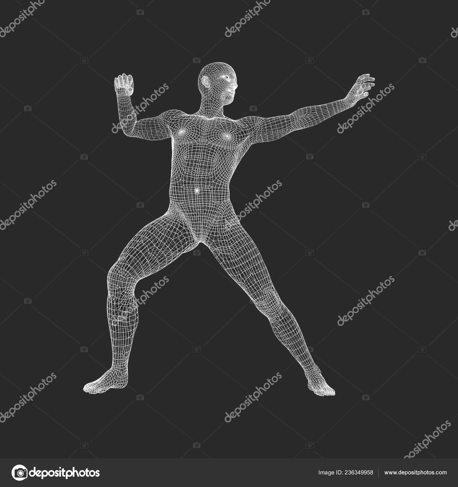 Model Man Human Body Wire Model Design Element Technology Vector Stock ...