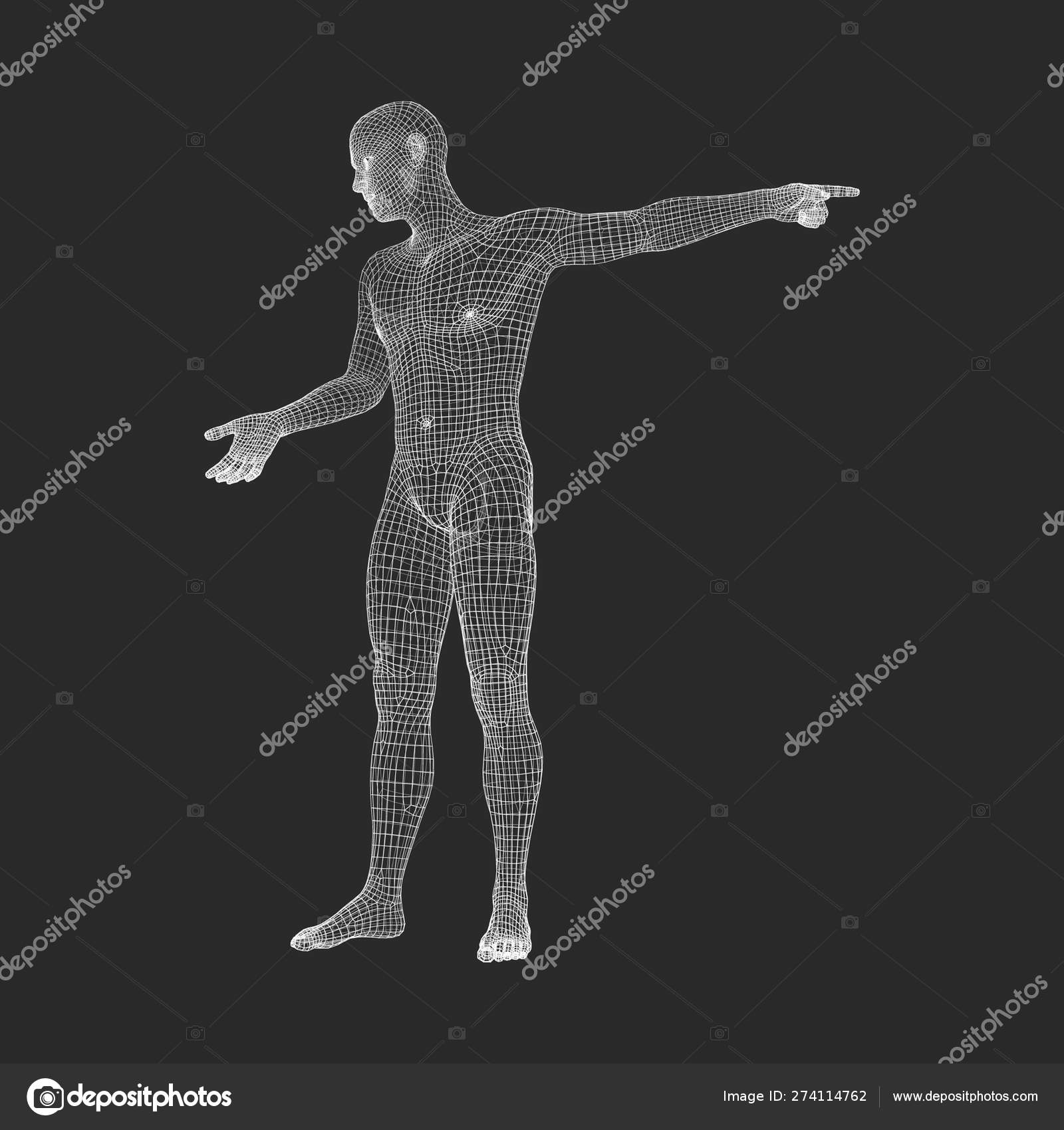 Man Pointing his Finger. 3D Model of Man. Geometric Design. Vector Illustration. 3d Polygonal ...