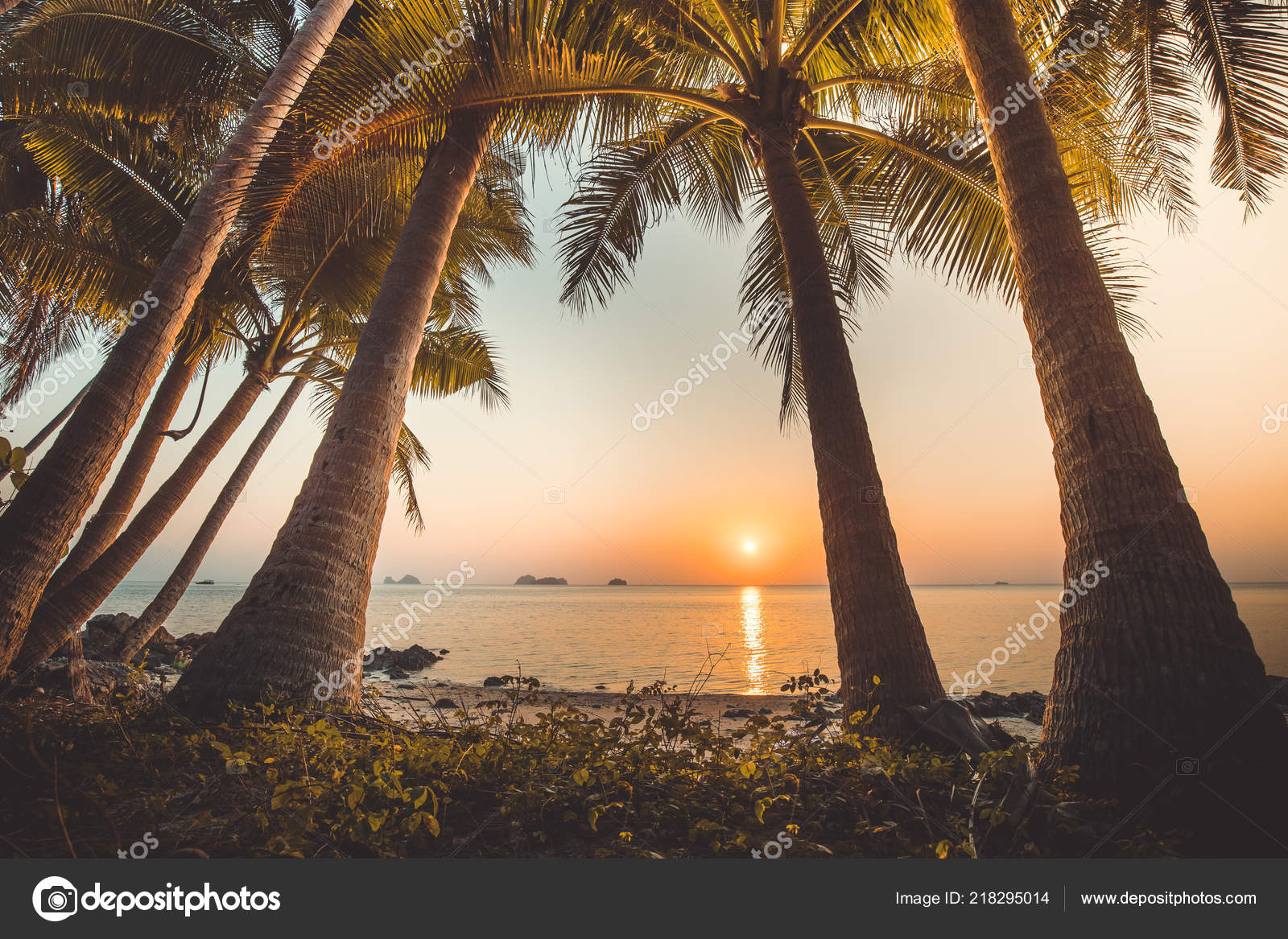 Palm trees, ocean. Sunset landscape, Bali. — Stock Photo © goinyk ...