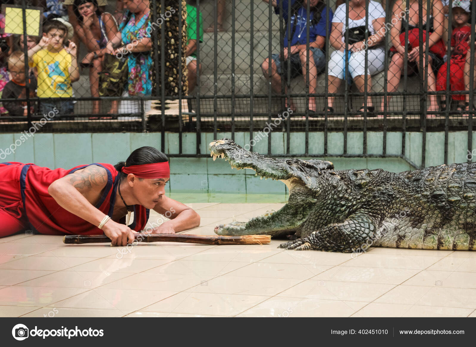 Phuket Thailand December 2010 Crocodile Show Phuket Island Zoo Thailand ...