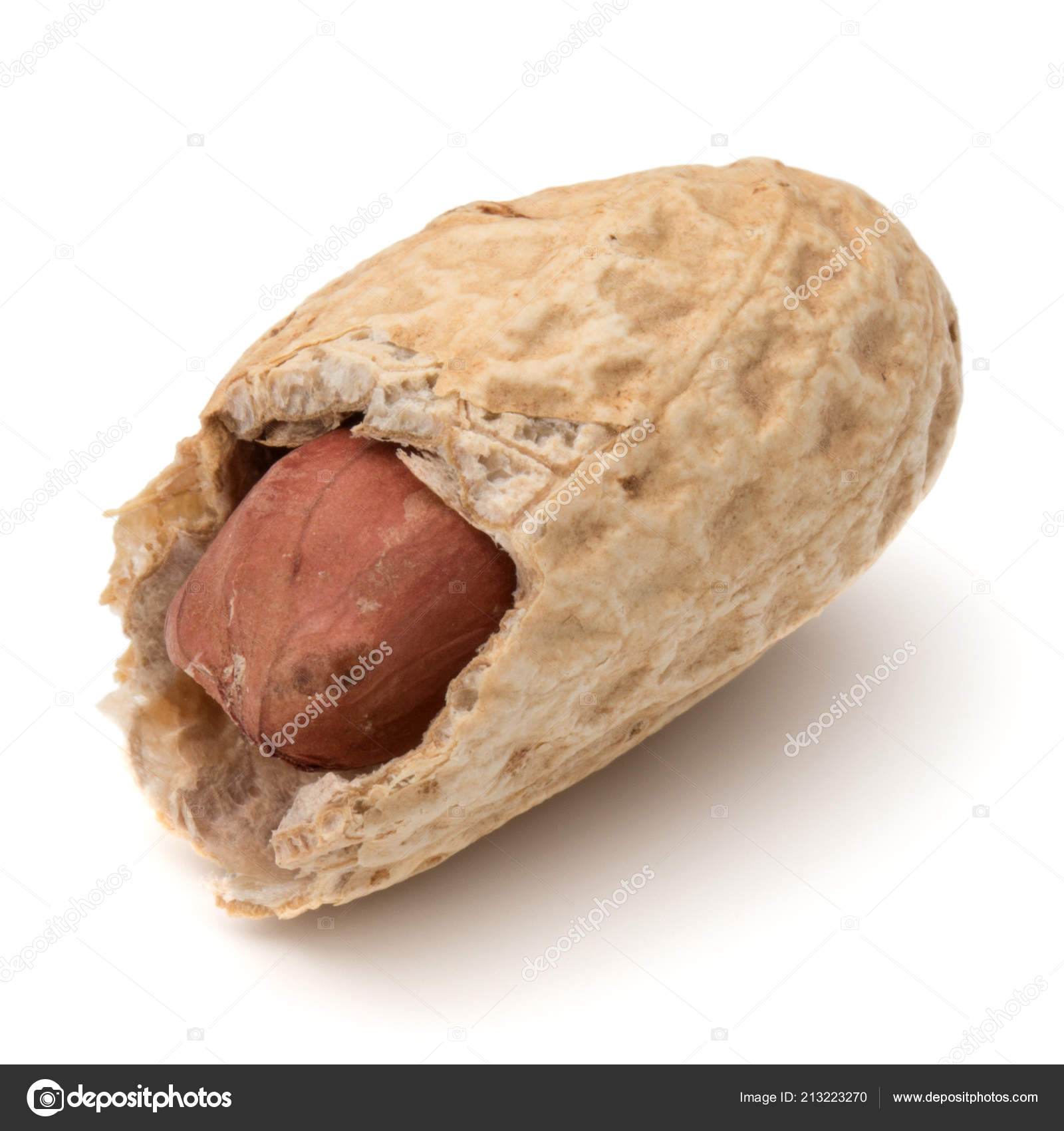 Opened peanut or groundnut pod isolated on white background clos Stock ...