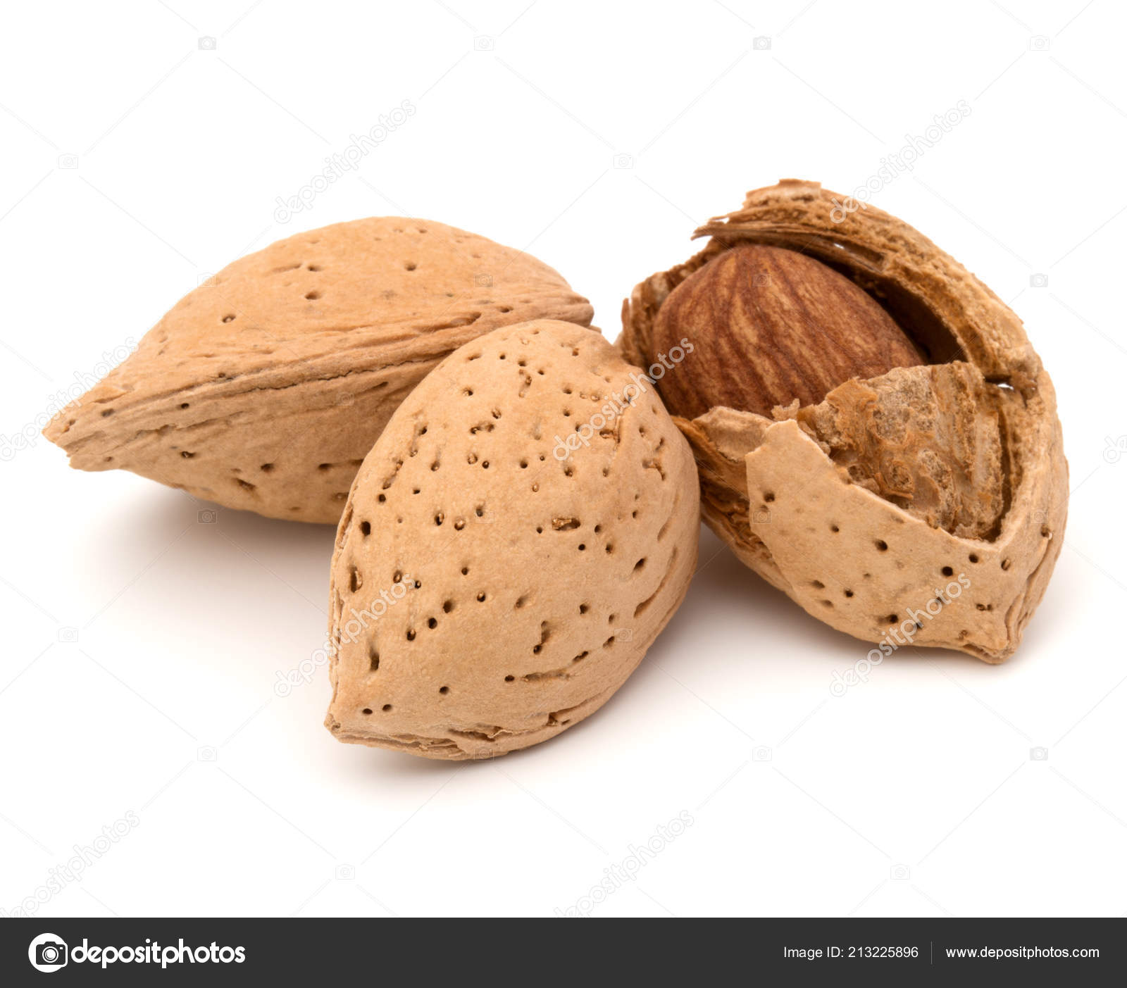 Almond Nut Shell Shelled Isolated White Background Close Stock Photo by ...