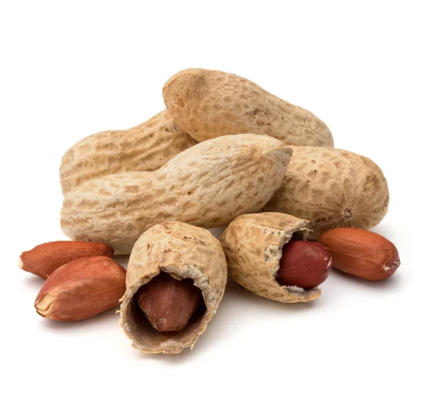 Groundnut pod Pictures, Groundnut pod Stock Photos & Images ...