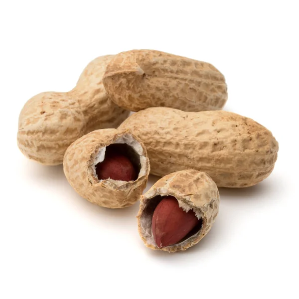 Groundnut pod Pictures, Groundnut pod Stock Photos & Images ...