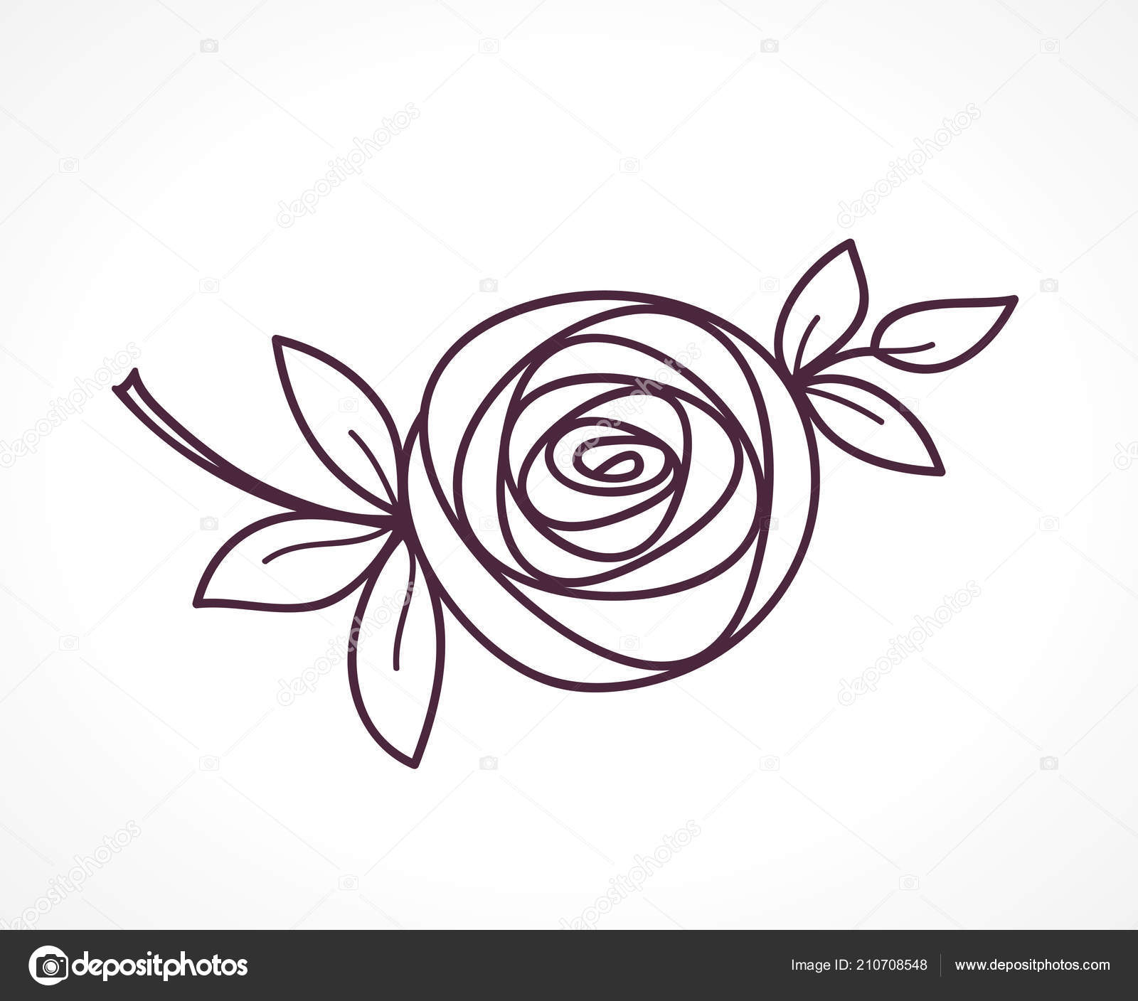 Birthday Flower Symbol | Best Flower Site