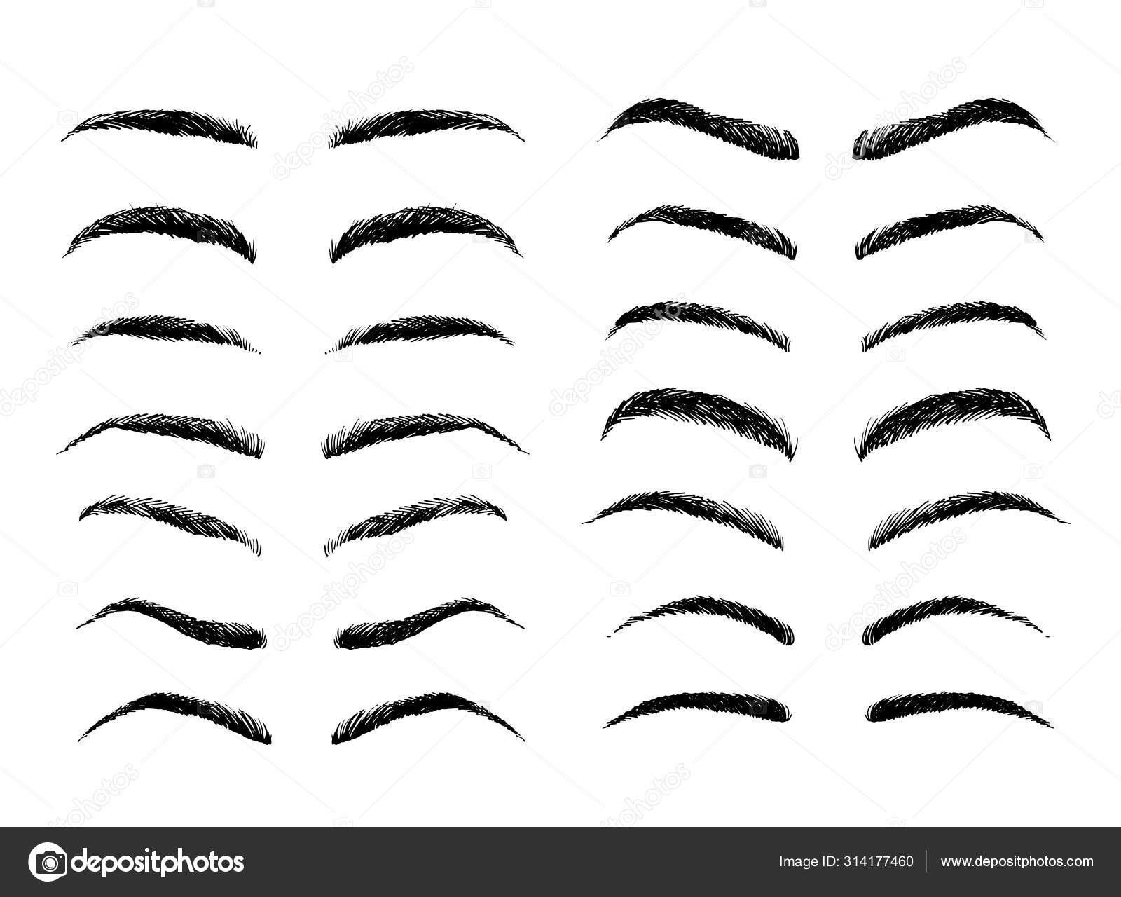 Eyebrows Shapes Vector Set Sketch Collection Isolated White Background ...