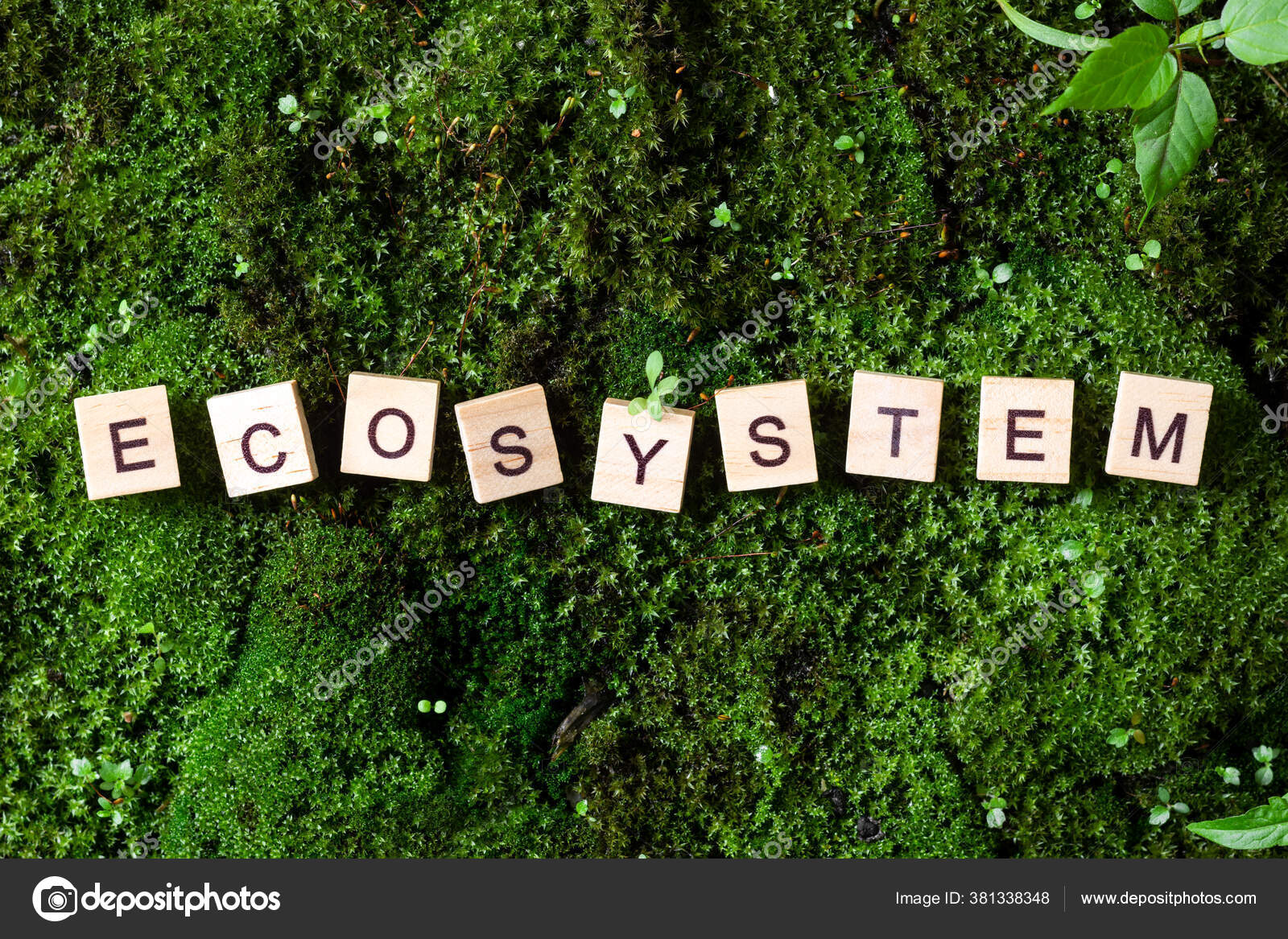 Word Ecosystem Word Ecosystem Written Background Moss Letters Wooden ...
