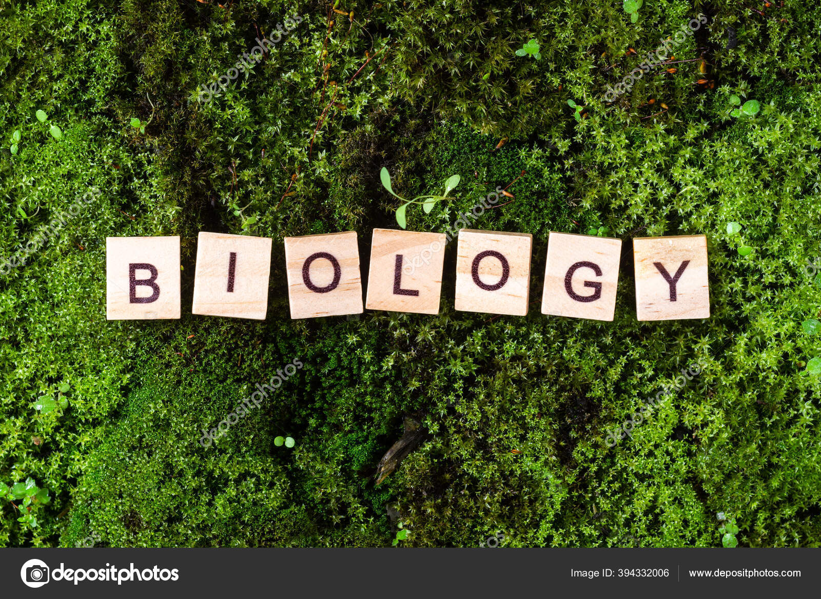 Biology Word