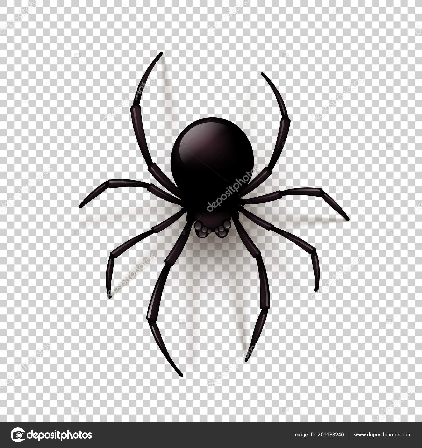 Black Spider Transparent Shadow Checkered Background Can Placed Any ...