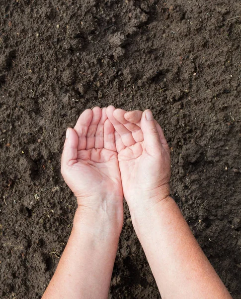 Hands in soil Stock Photos, Royalty Free Hands in soil Images ...