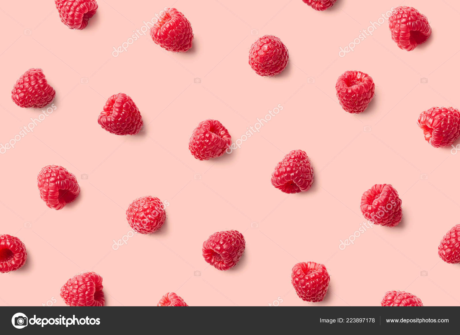 Pink Raspberry