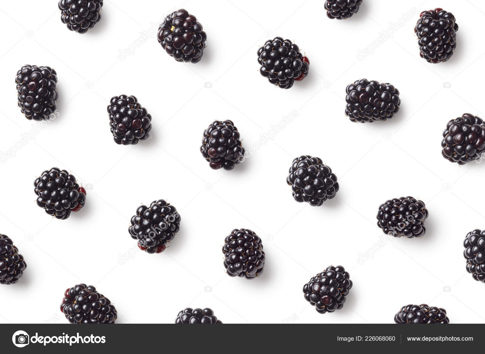 White Blackberry Fruit