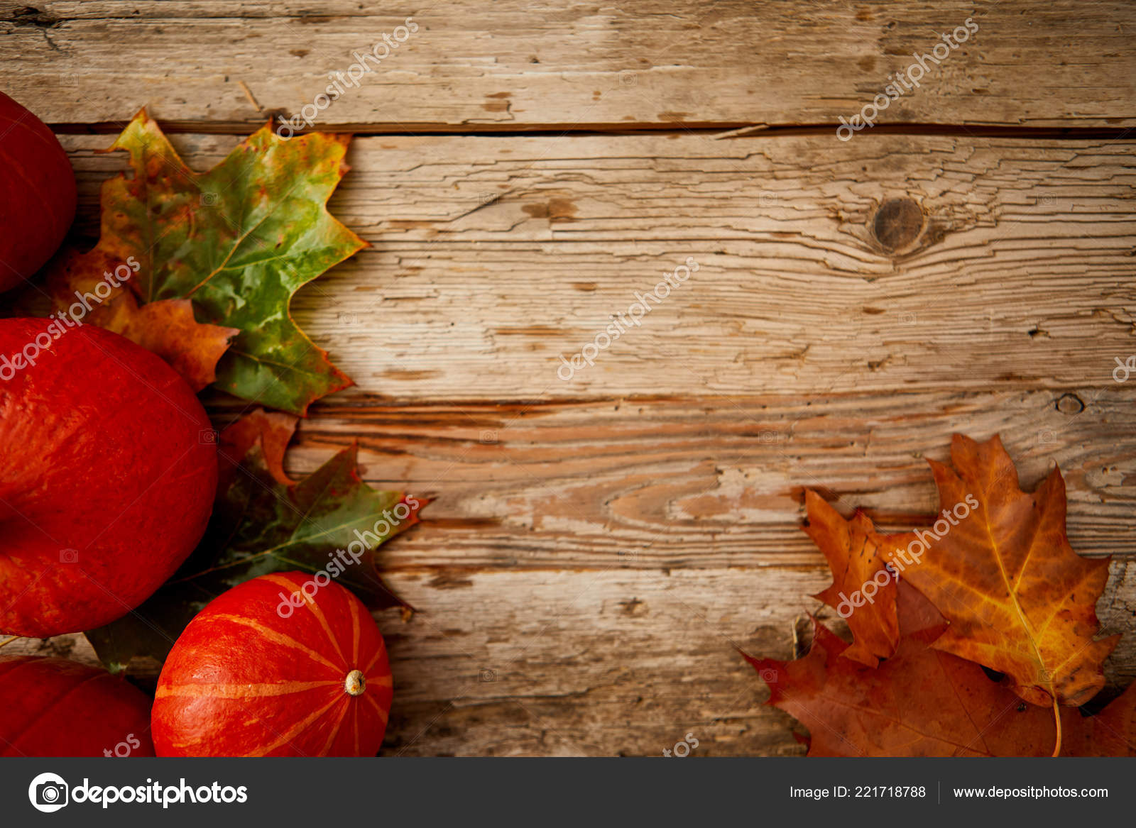 Bunches Squash Natural Border Blank Area Copy Space Table Stock Photo ...