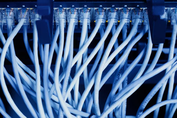 Network panel, switch and cable in data center - Stock Image - Everypixel