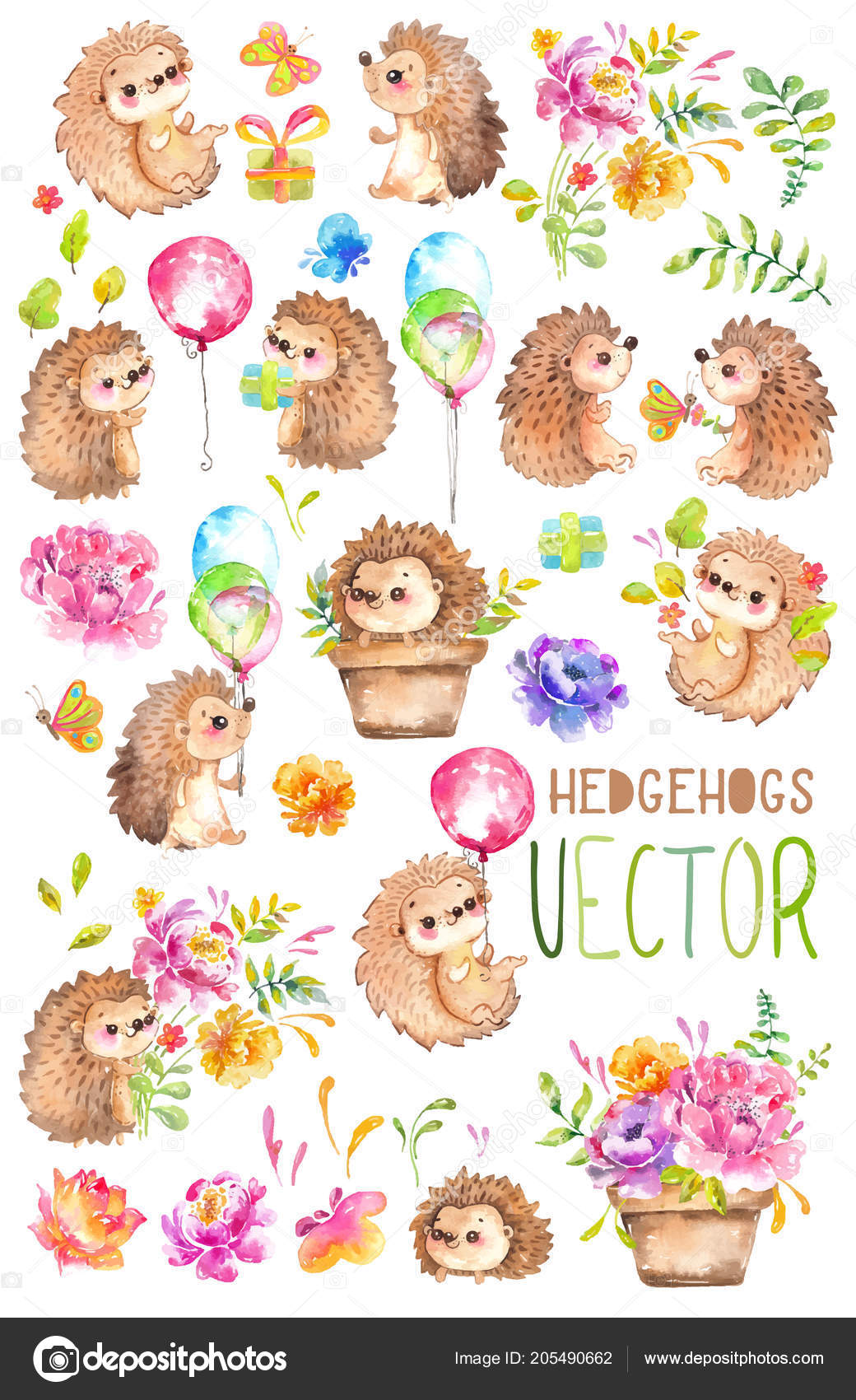 Watercolor Hedgehogs Babies Watercolor Little Animal Clipart Flowers ...