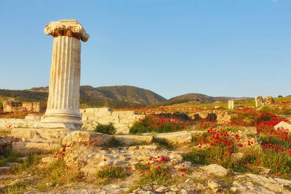 Ruins of the ancient city of Hierapolis and red poppies, Pamukkale in ...