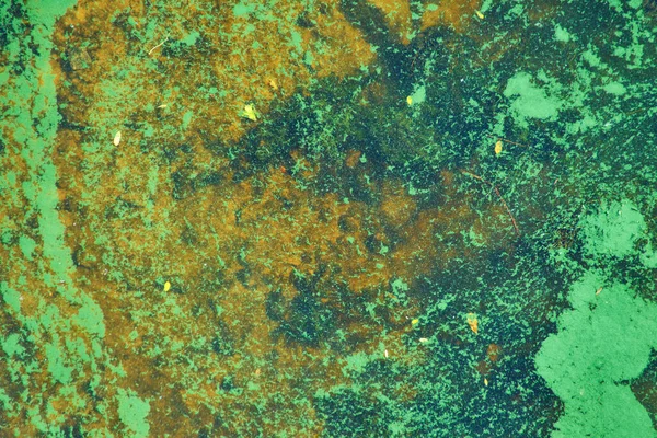 Cyanobacteria biofilm Stock Photos, Royalty Free Cyanobacteria biofilm ...