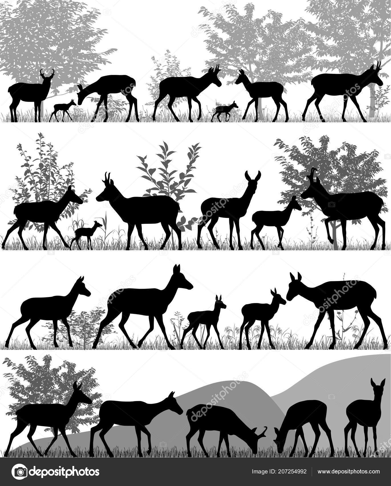 Pronghorn Silhouette