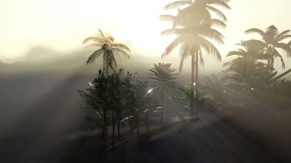 Coco palm trees tropical landscape with smoke and sun beam - Stock ...