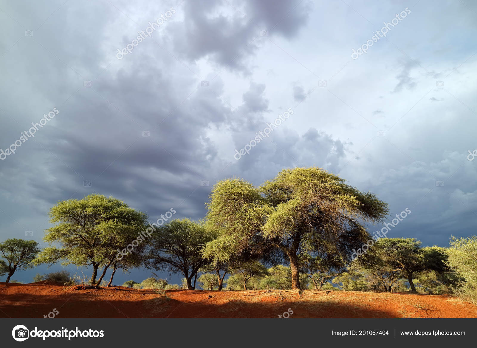African Savannah Landscape Dark Sky Approaching Storm South Africa ...