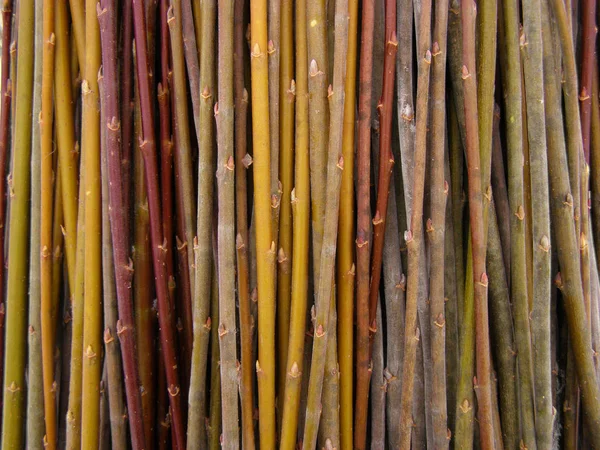 A lot of willow twigs - raw material for basket weaving - Stock Image ...