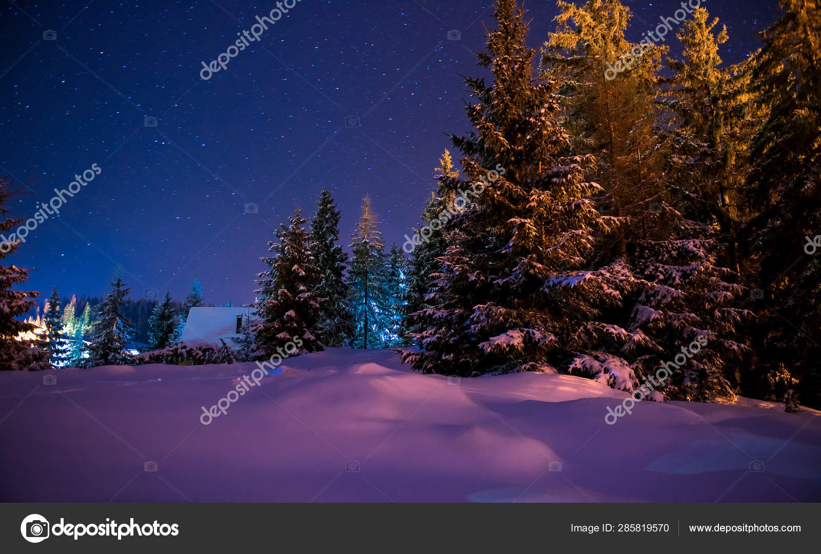 Beautiful Nature Winter At Night