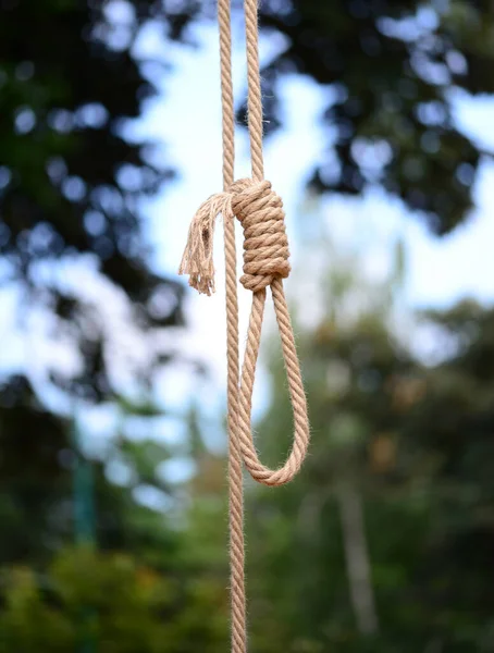 Gallows hanging rope knot tied noose outdoors - Stock Image - Everypixel