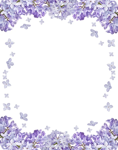 light lilac flower frame isolated on white background - Stock Image ...