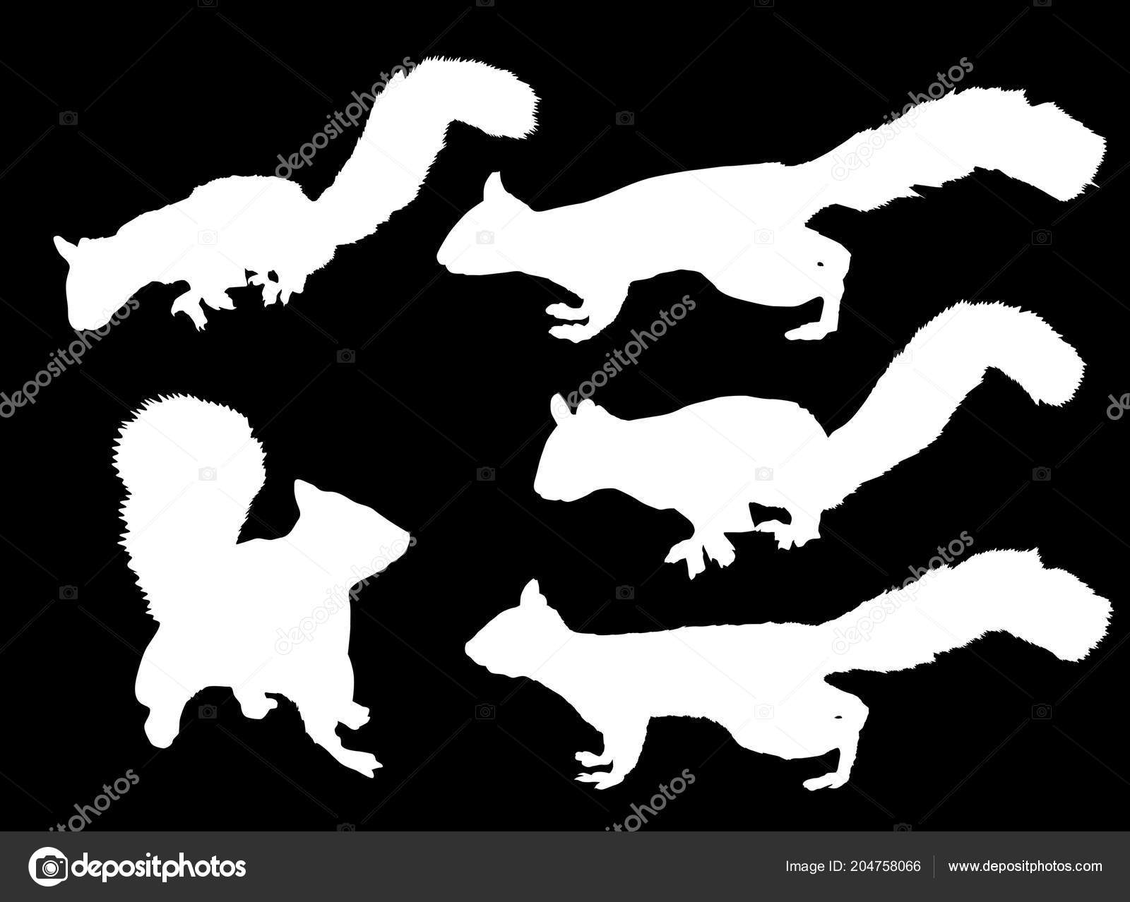 Illustration Five Squirrels Isolated Black Background Stock Vector by ...