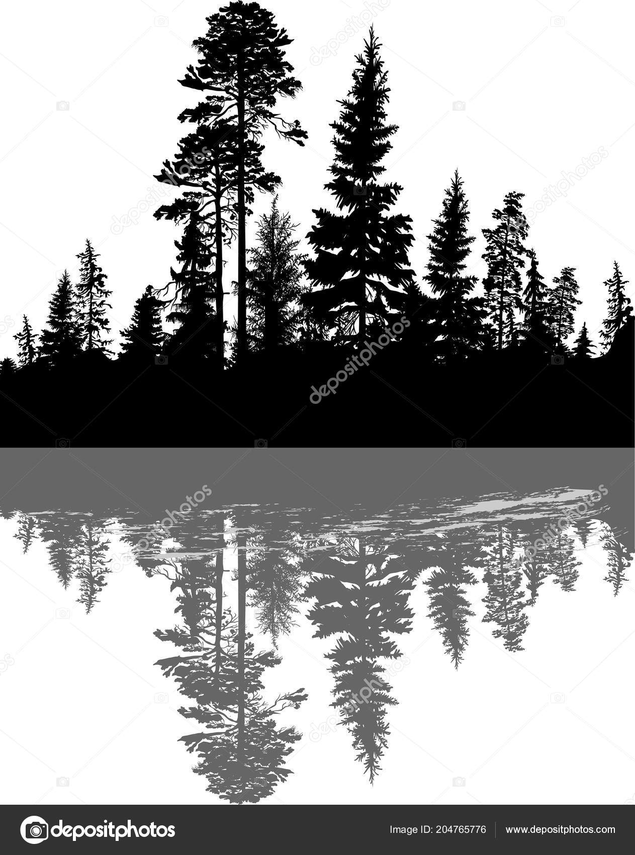 Dark Forest Vector