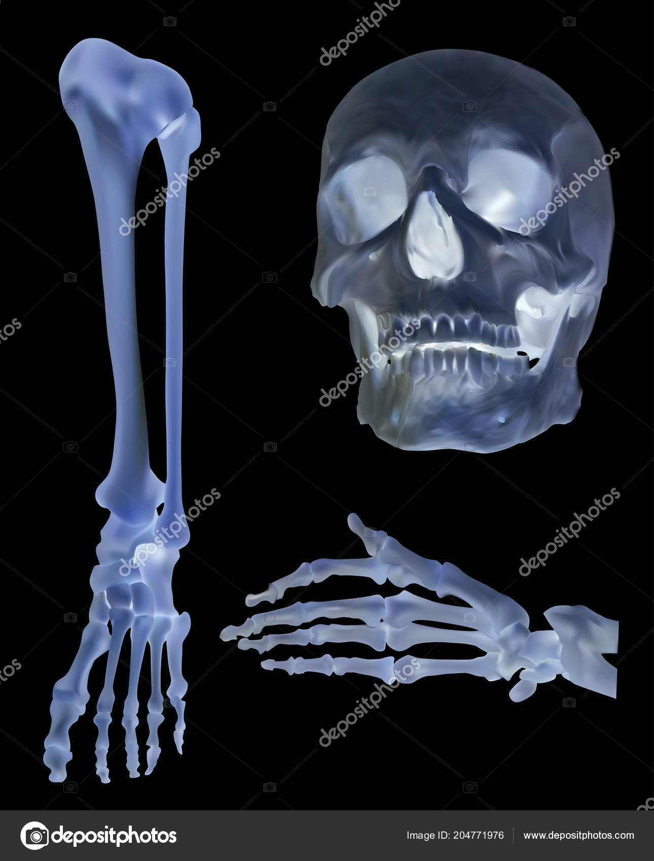 Illustration Set Human Bones Isolated Black Background Stock Vector ...