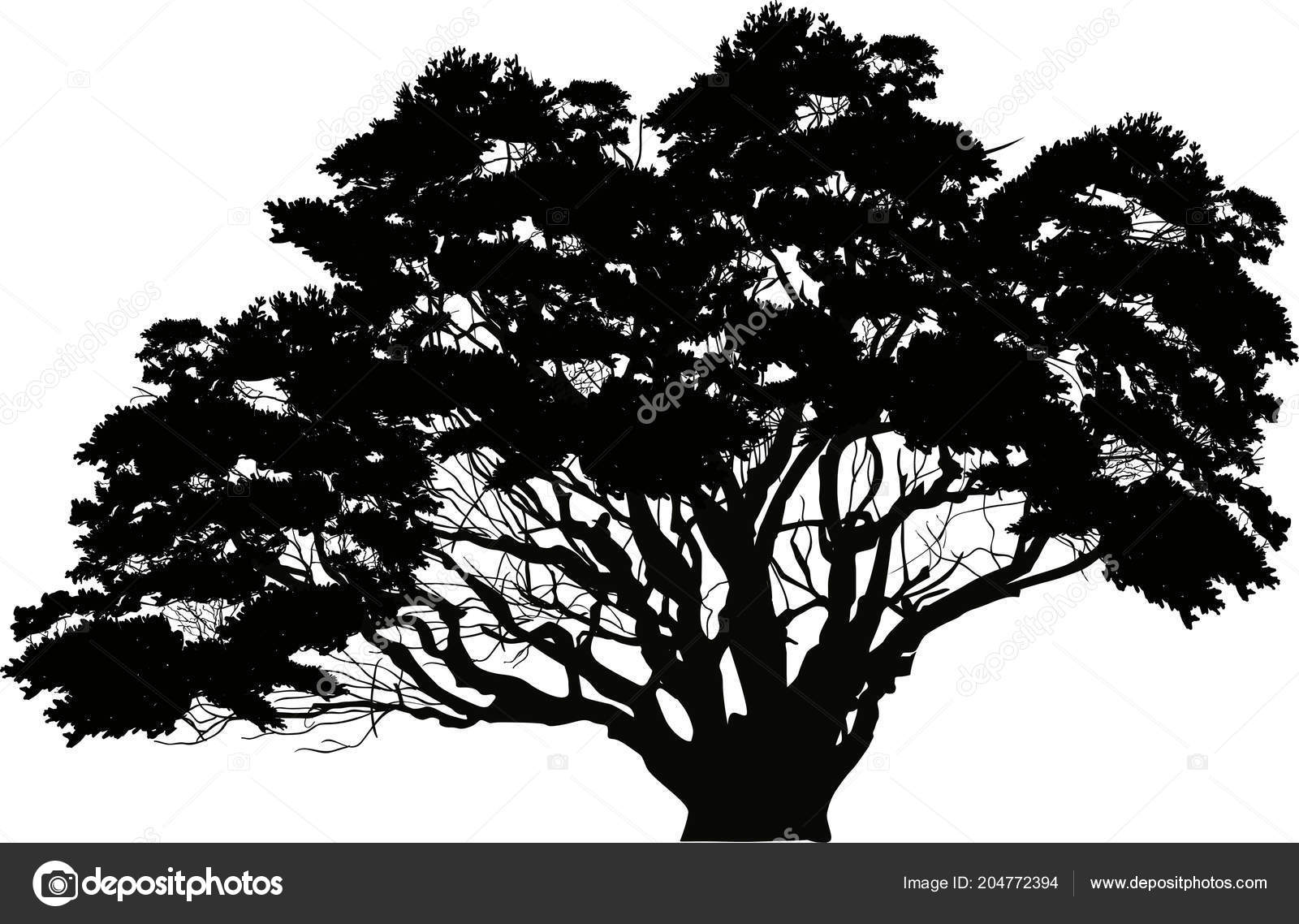 Wide Tree Silhouette